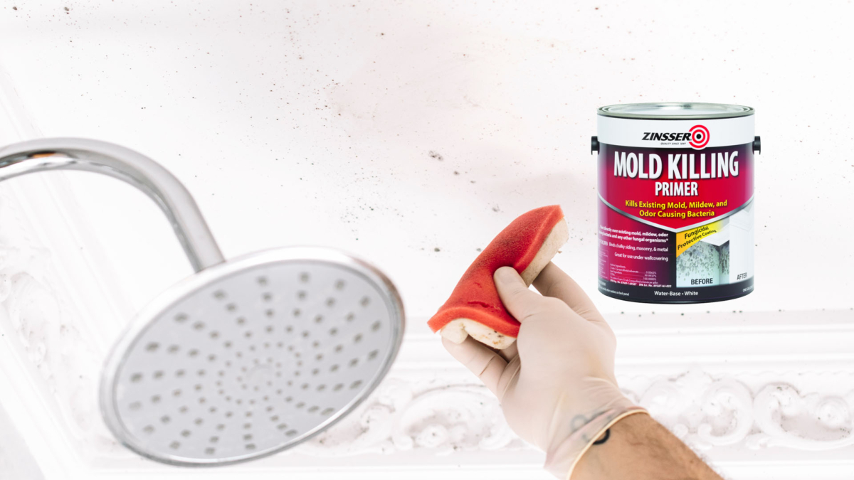 Why, When, and Where to Use Mold Killing Primer Before Painting – Helm ...